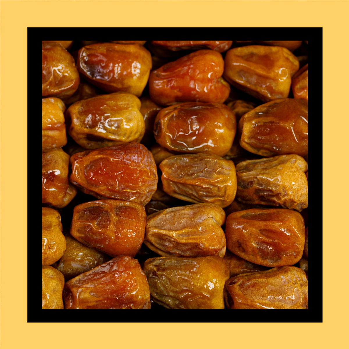سكــري القصيــم جامبـــو – Kayan Dates
