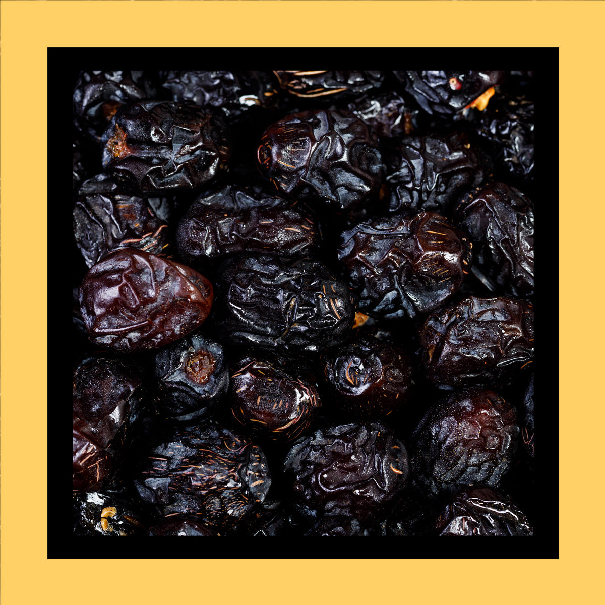عجوه المدينة ملكـــي – Kayan Dates