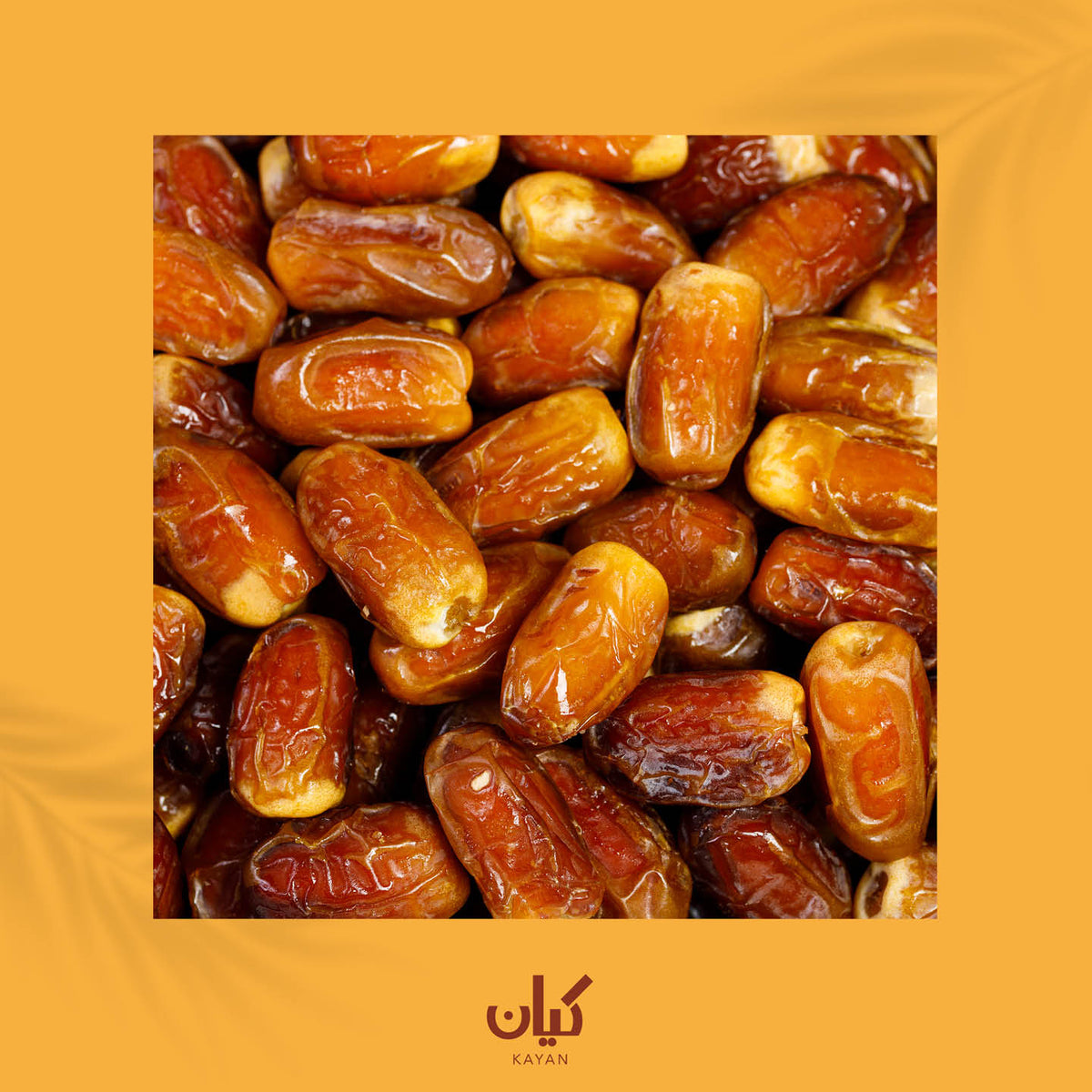 صقعي القهوه – Kayan Dates
